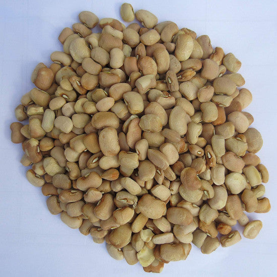 Kampala Honey Beans – Blossom Foods